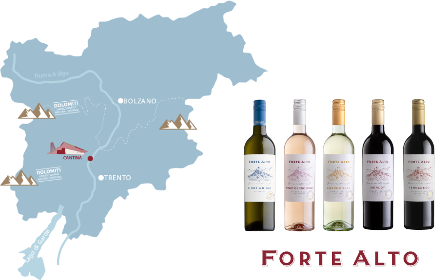 Forte Alto | From our mountain vineyards